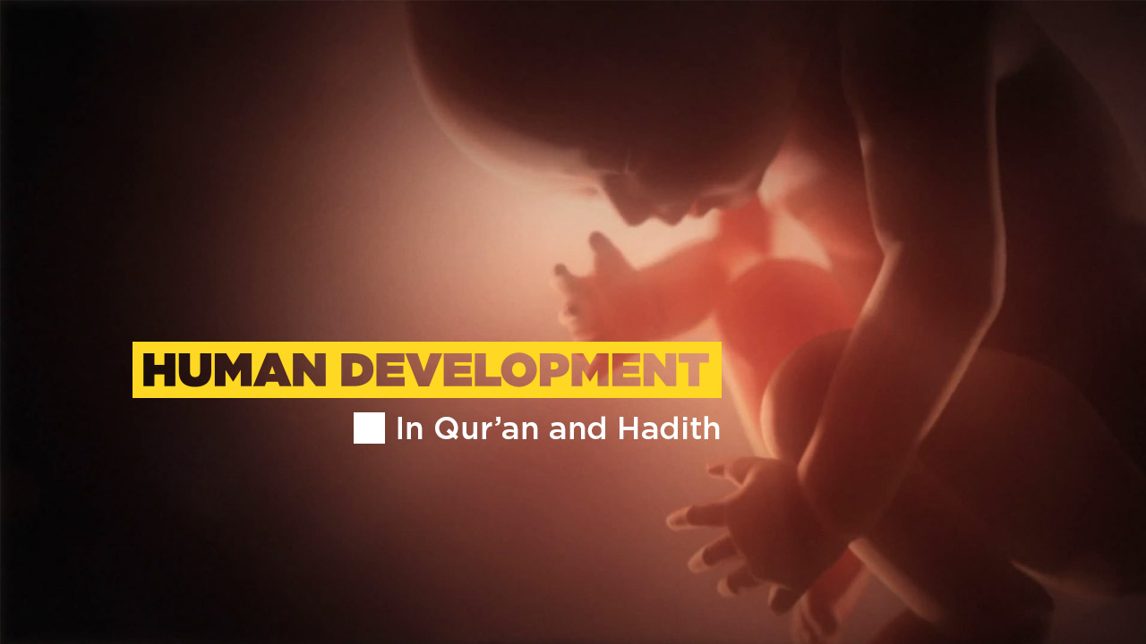 Human Development as Revealed in Qur’an & Hadith – Ask A Muslim